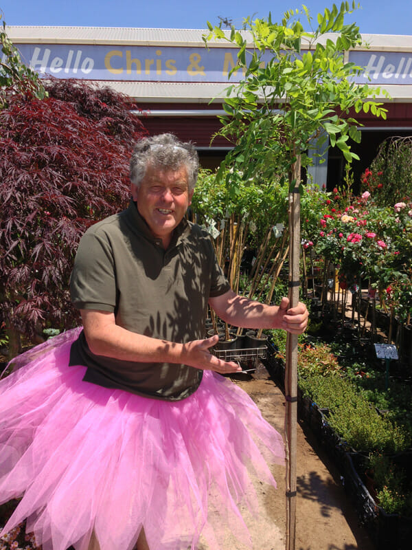 Mop Top 6ft Hello Hello Plants And Garden Supplies